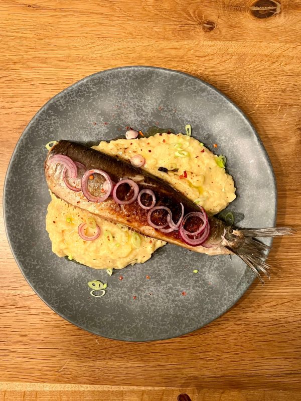 Grüner Hering - gebraten • Katis Rezeptgeschichten